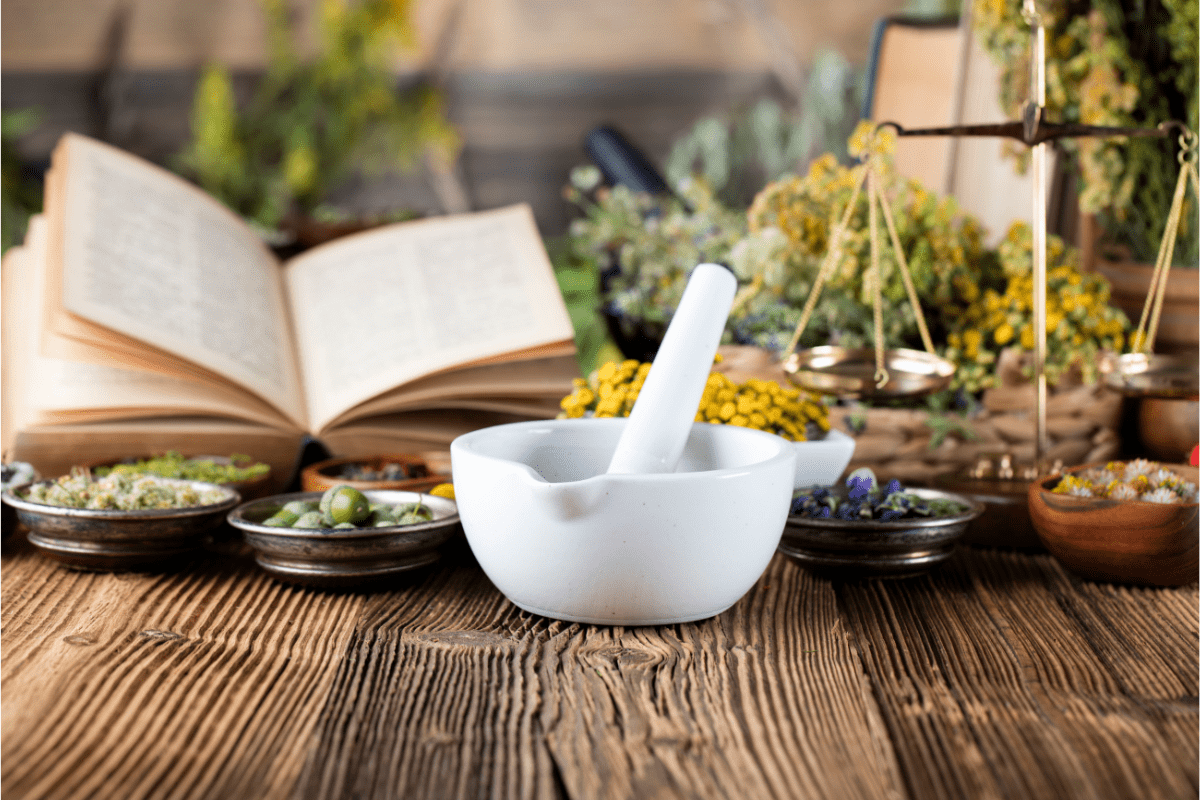 Longevity News: Brain-Boosting Herbs | Simply Nootropics US