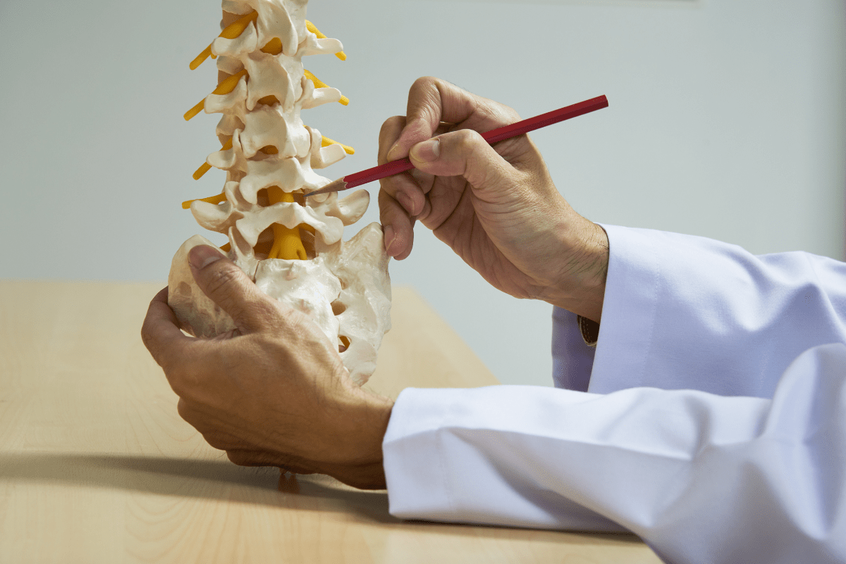 Longevity News: Bone Regeneration | Simply Science US